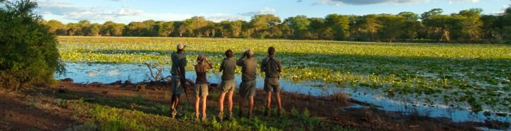 Safari Guide Course – 28 Days | Volunteer Africa